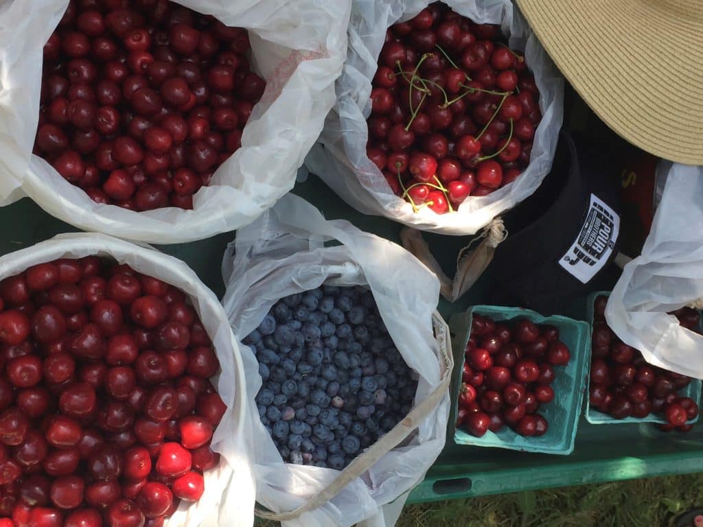 Ten Tips for Visiting a U-Pick Fruit Farm with the Kids - Smart Lifebites