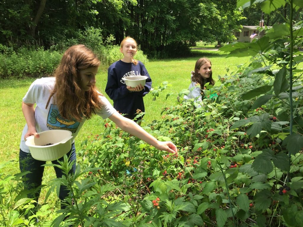 Ten Tips for Visiting a U-Pick Fruit Farm with the Kids - Smart Lifebites