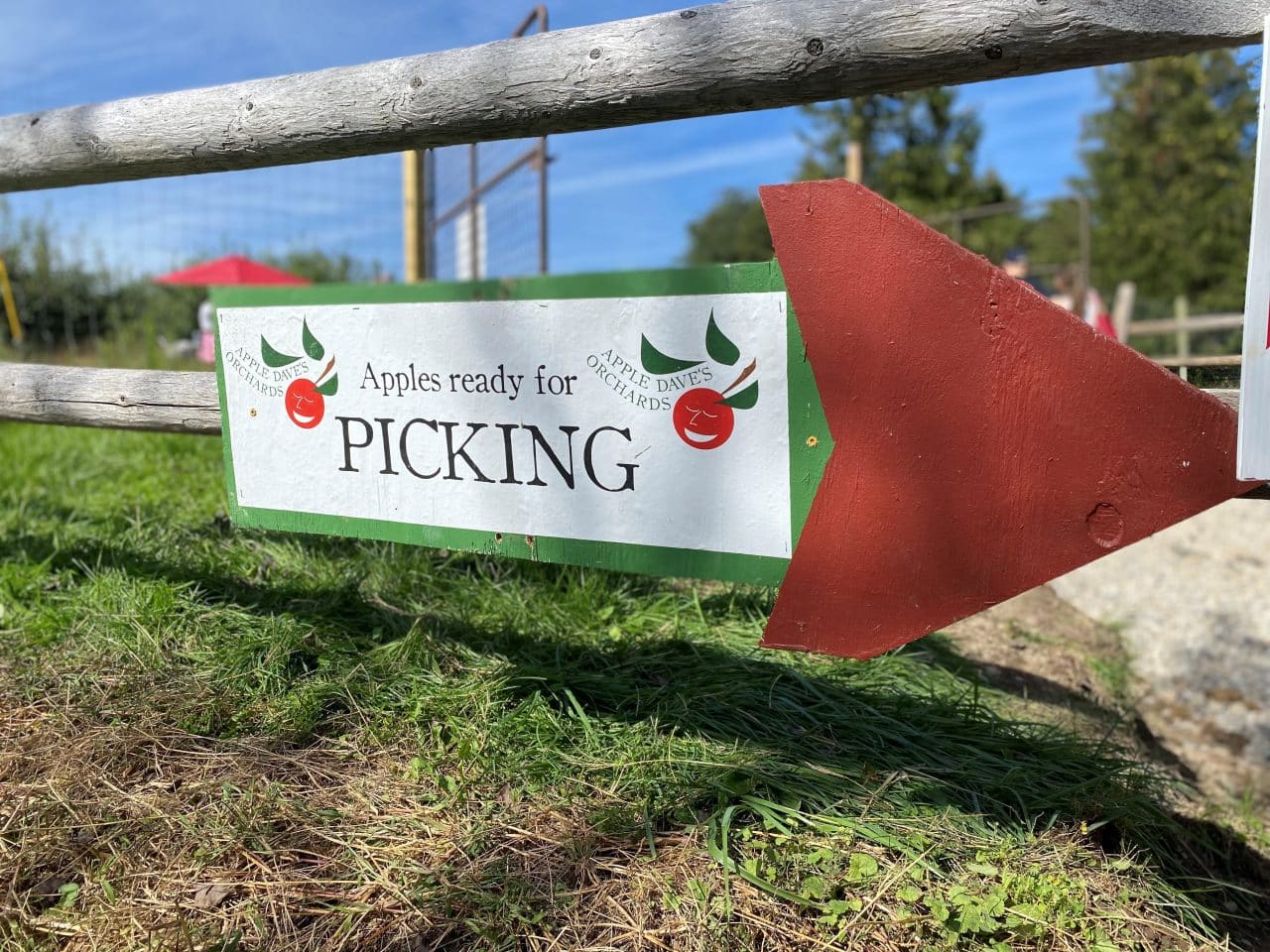 10 Tips for a Great Apple Picking Experience - Smart Lifebites