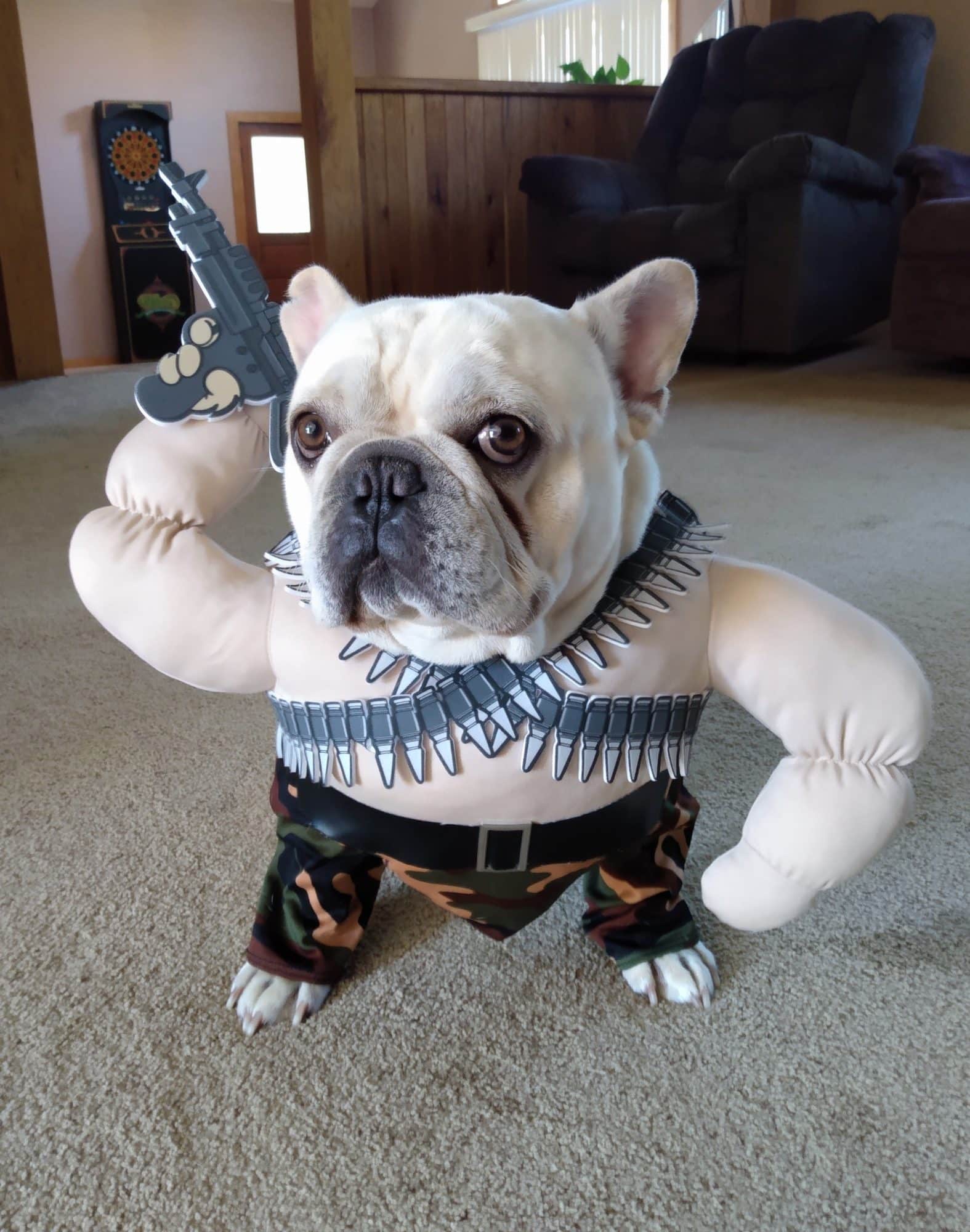 Winners unveiled in Crispy Green's 11th annual Halloween Costume ...